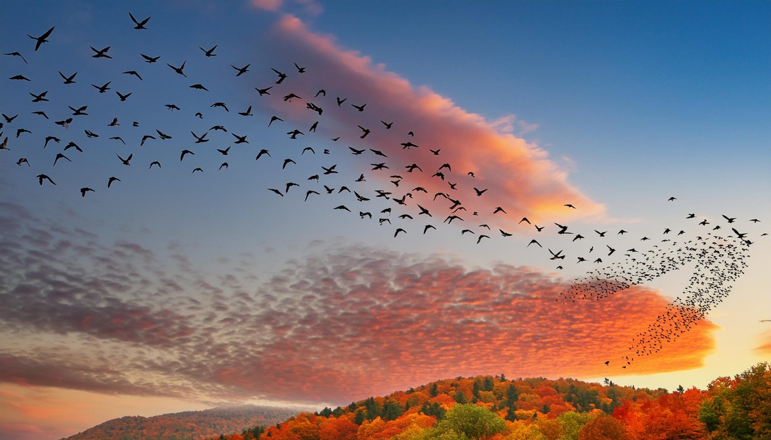 Miért repülnek a madarak télen délre? - Elo.hu